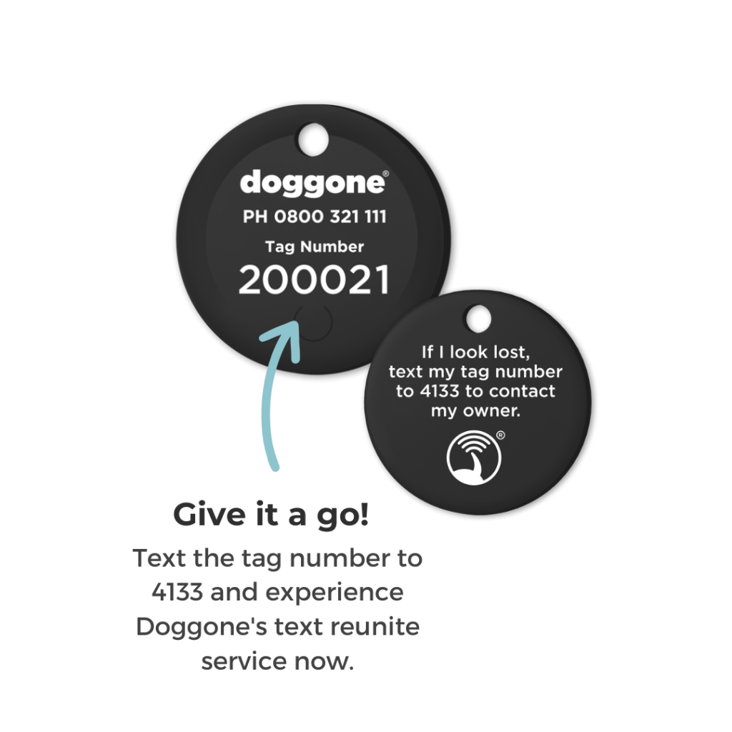 The Doggone Text Reunite Tag - Doggone